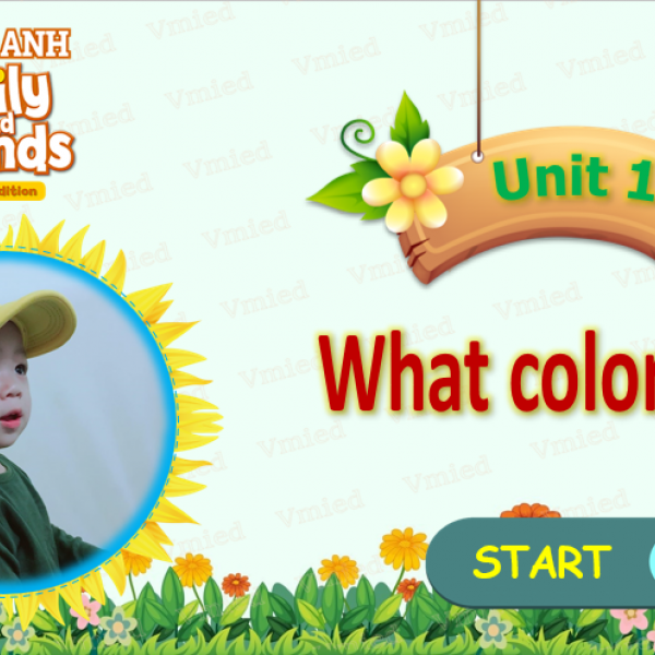 Unit 1: What colour is it? - Family and Friends 1 - Chân trời sáng tạo ...