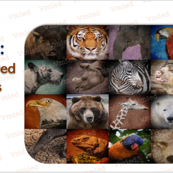 Unit 6: Endangered Species - Tiếng Anh 12 - Bộ GD&ĐT - Trung học Phổ ...